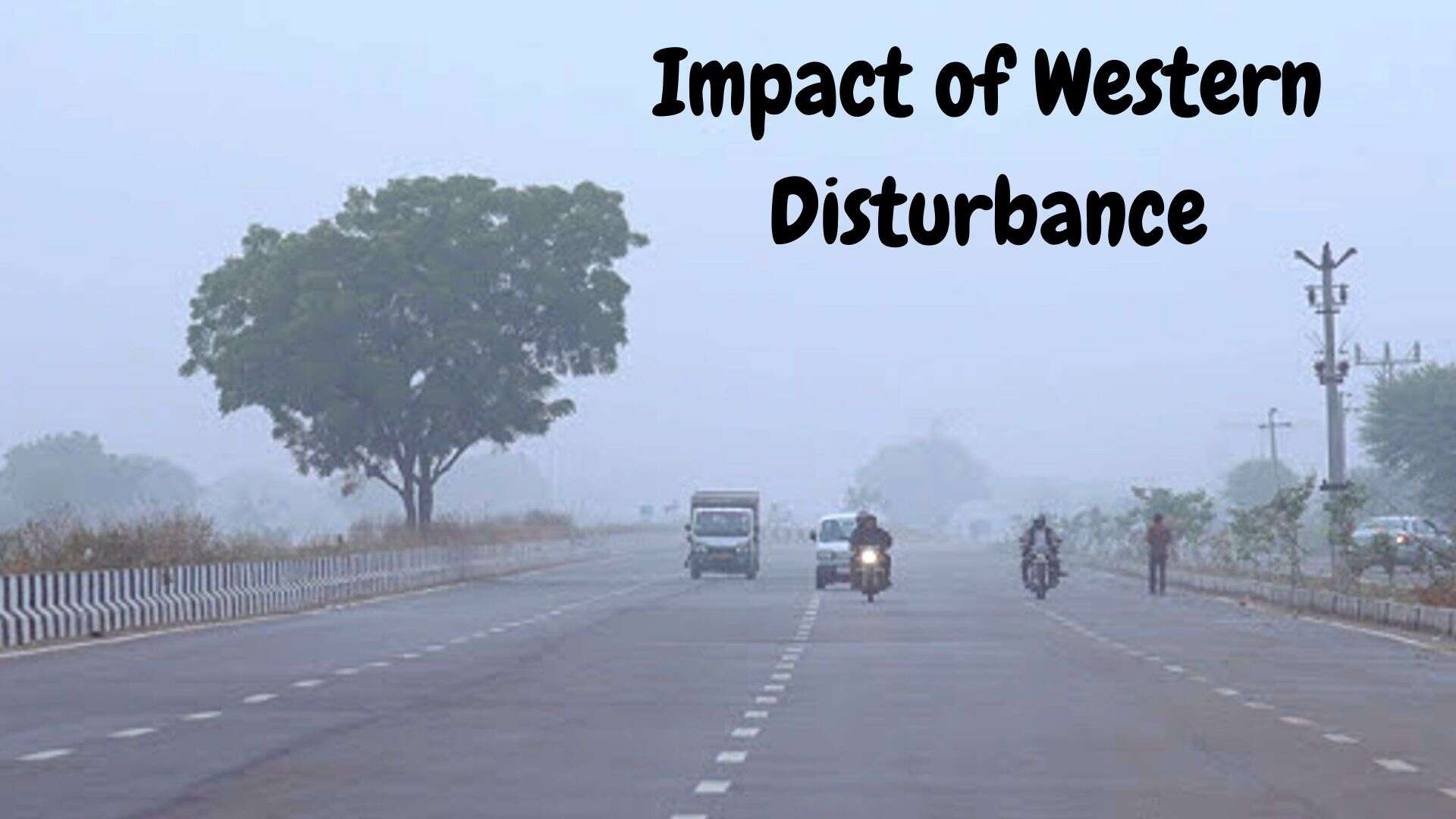 Light Rain, Overcast Skies Likely this Week