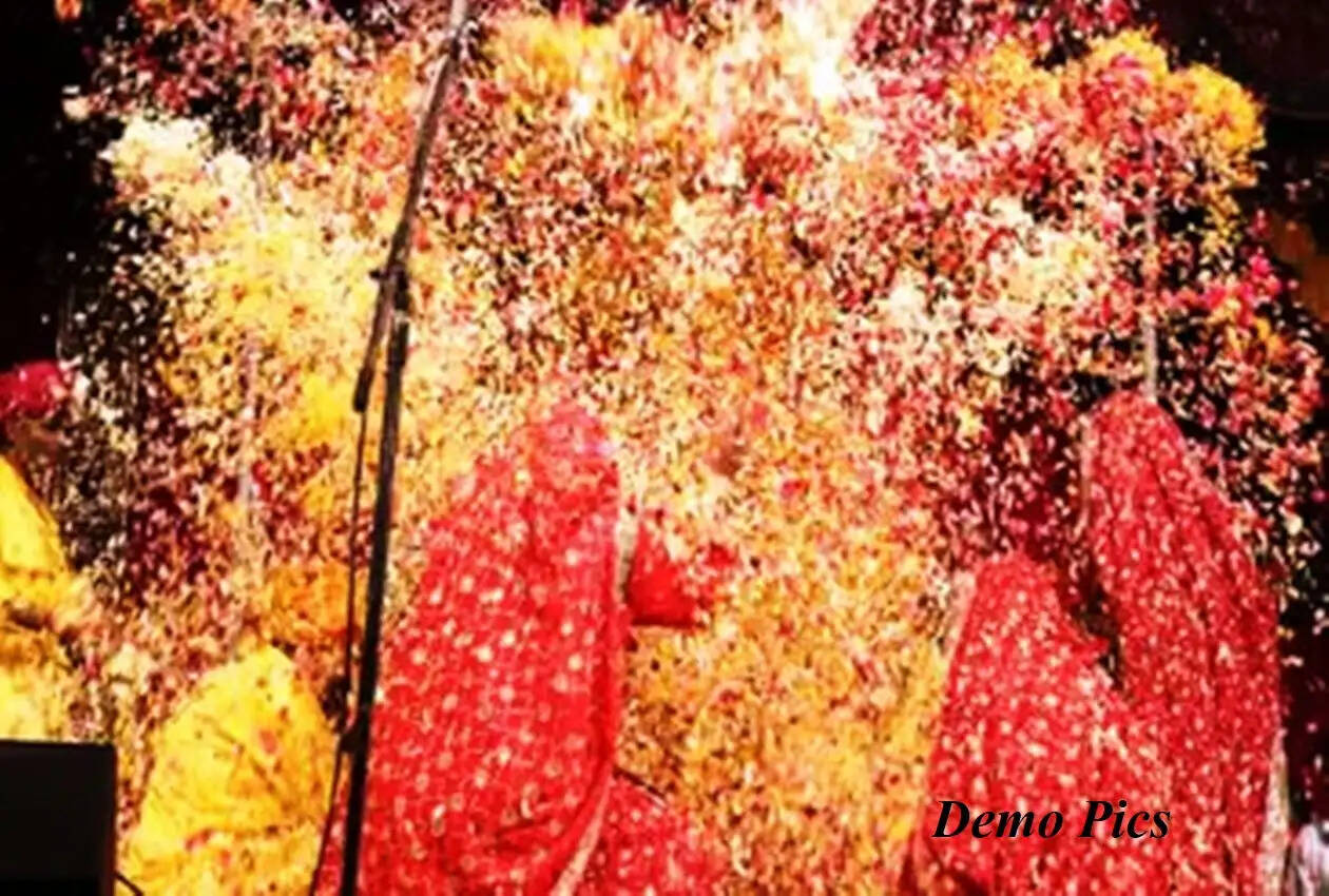 Ameta samaj to celebrate Holi with innovation