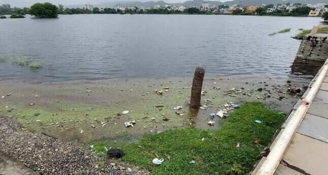 Dead Fishes Found in Nela Pond After Similar Incident at Gangu Pond