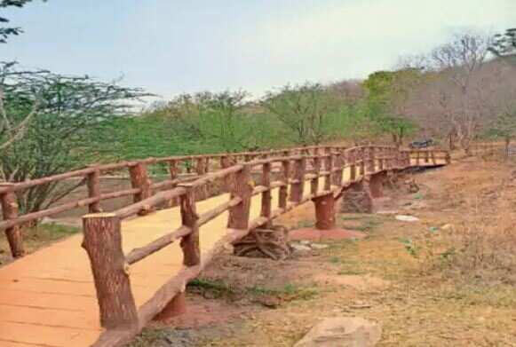 Nagar Van to Bring Jungle Experience to Urban Area