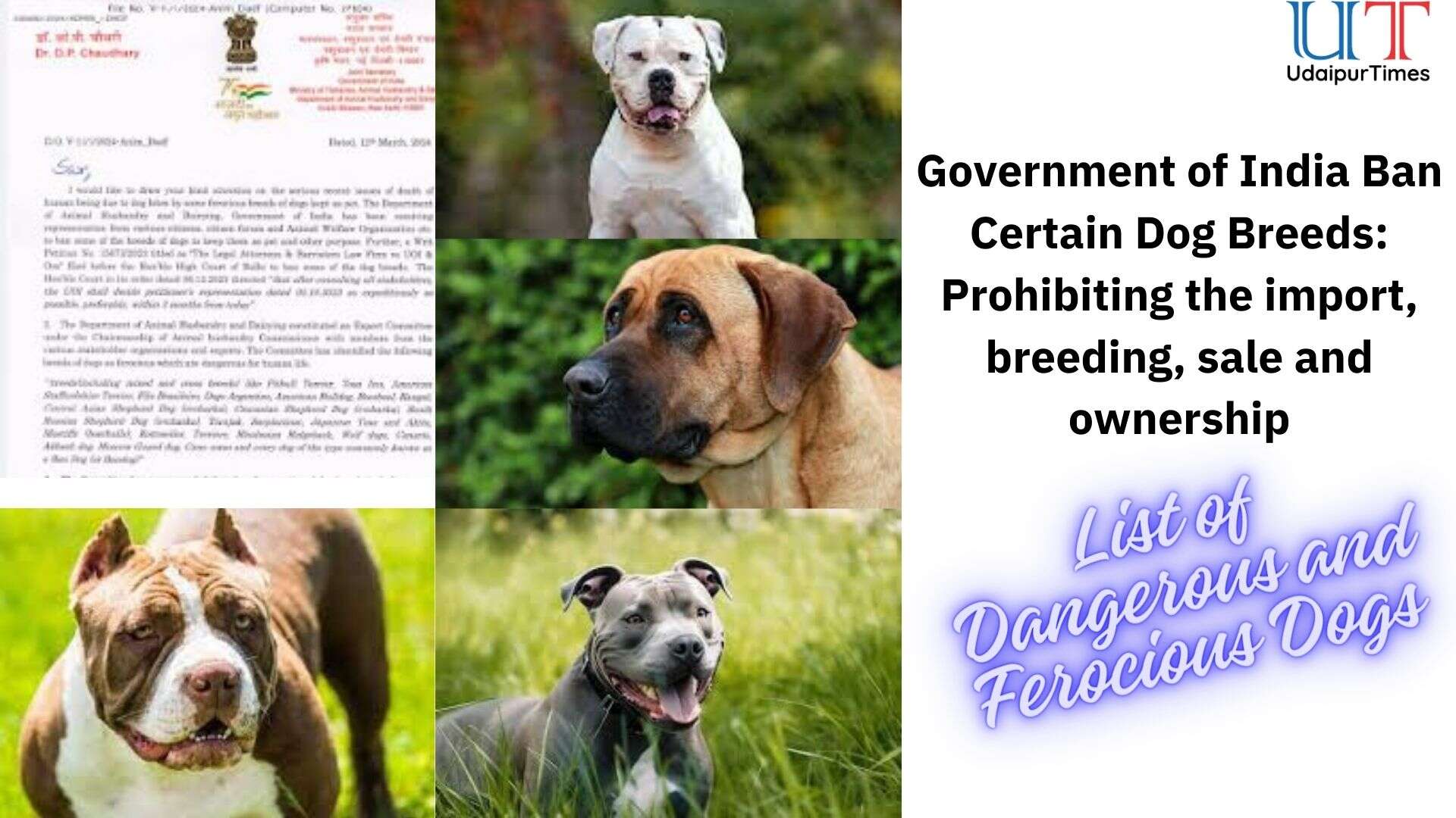 Government Ban Certain Dog Breeds Amid Safety Concerns