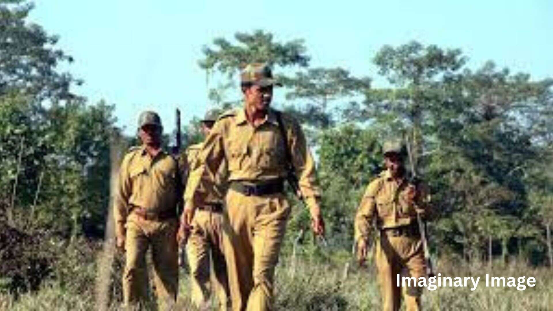 Protection Kits Provided to Forest Workers will Reduce Risks of Wild ...