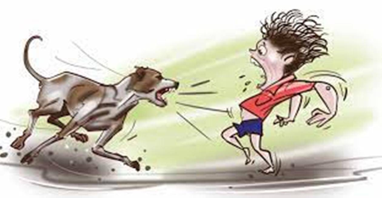 Growing threats of stray dogs: A-month-old baby died after a stray dog ...