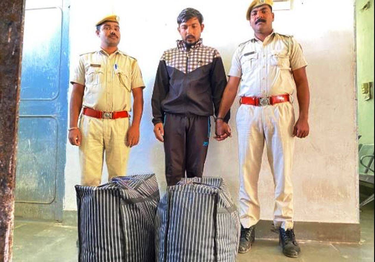 law college student caught with 30kg poppy husk